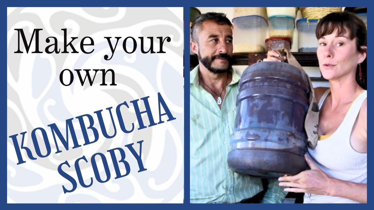 The Complete Guide to Kombucha | Grow your own SCOBY - YouTube