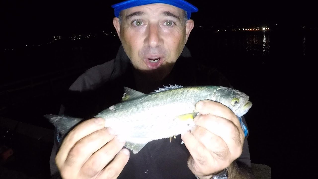 BAIT CASTING FOR TAILOR ISOLATION FISHING CATCH N COOK with the Fish ...