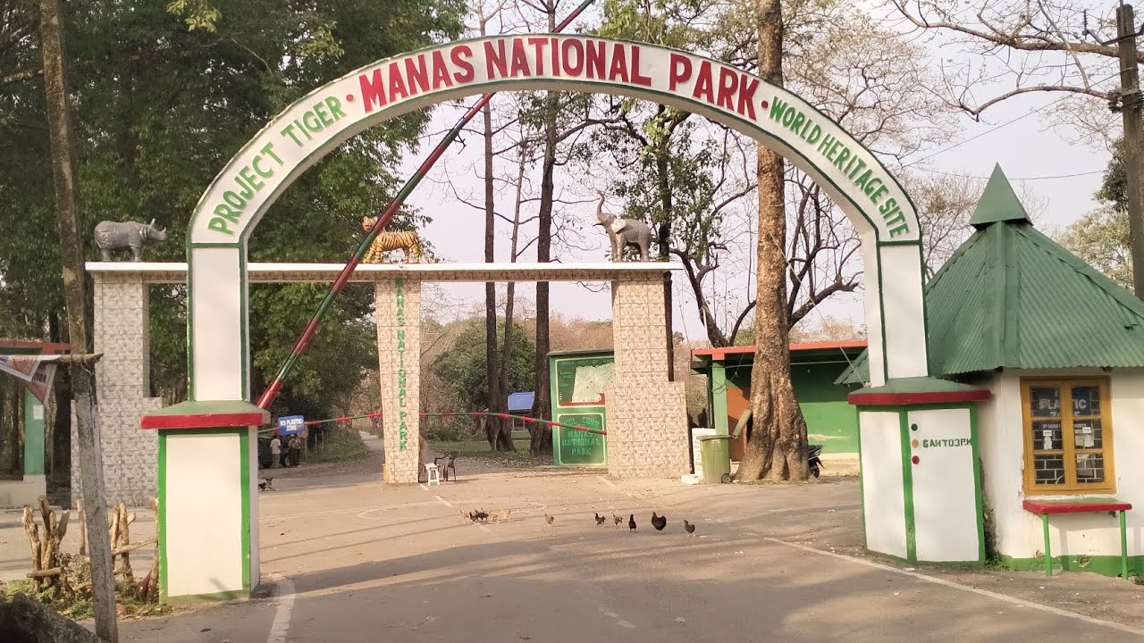 MANAS NATIONAL PARK ।। মানস ৰাষ্ট্ৰীয় উদ্যান ।। - YouTube