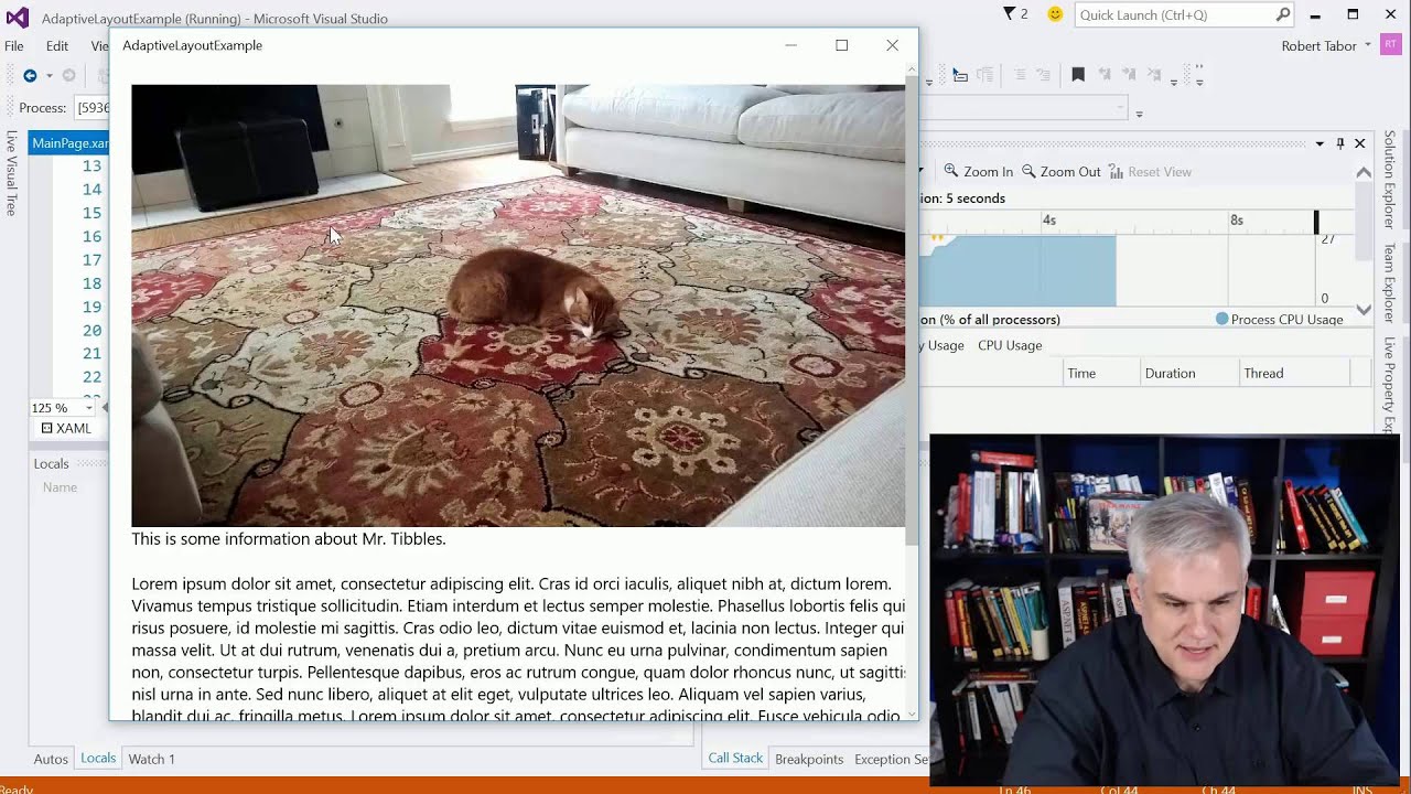 UWP 038 | Working with Adaptive Layout - YouTube