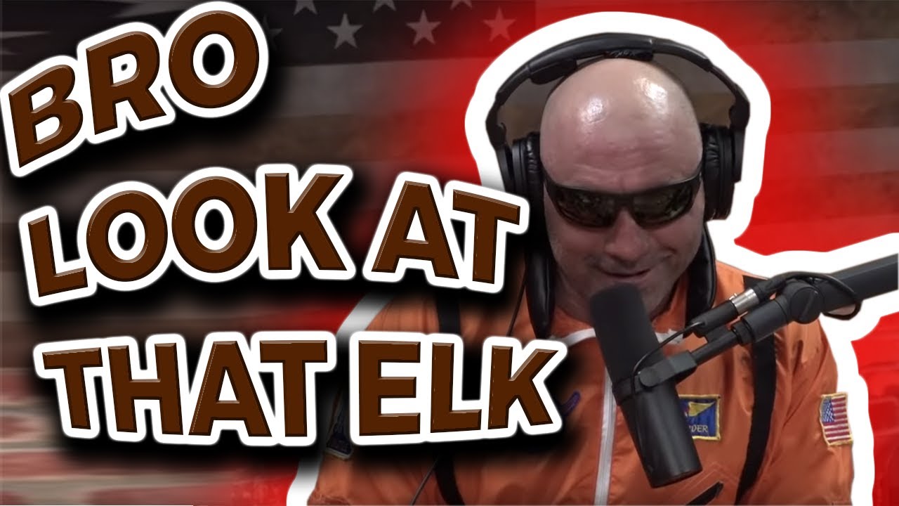 Joe Rogan Talking About ELK For 5 Minutes Straight! (you can't count ...