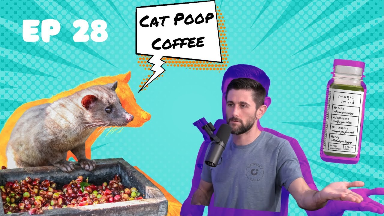 28: Cat Poop Coffee - YouTube