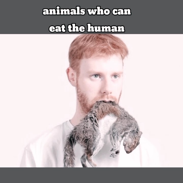 animals that can eat humans #shorts #shortfeed - YouTube