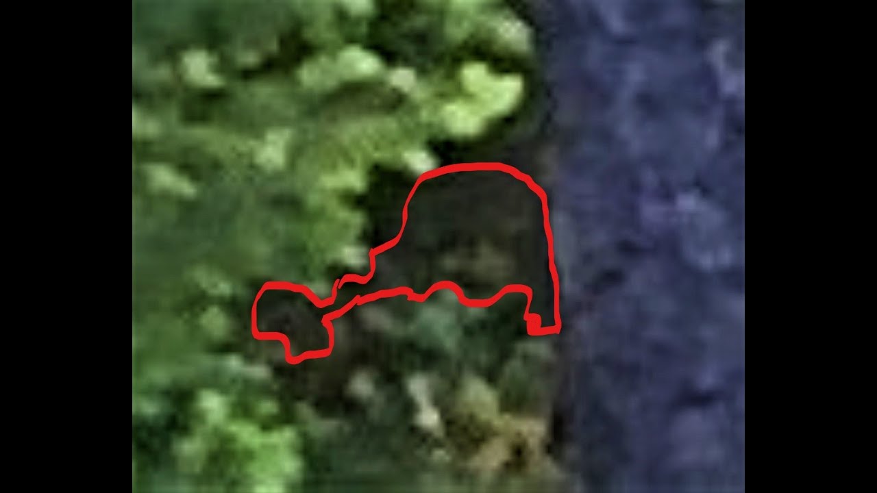 World Bigfoot Radio/Montana Bigfoot Project ~ Bitterroot Bigfoot ...