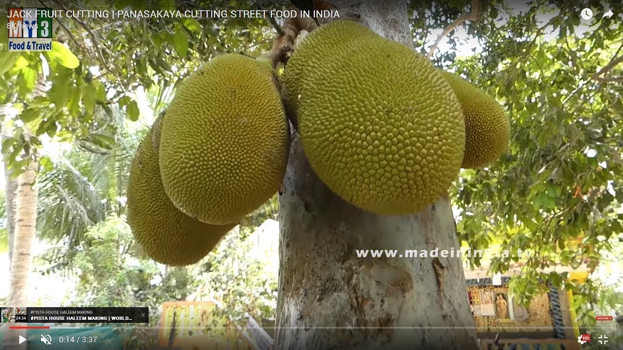 JACK FRUIT CUTTING | PANASAKAYA CUTTING STREET FOOD IN INDIA street ...