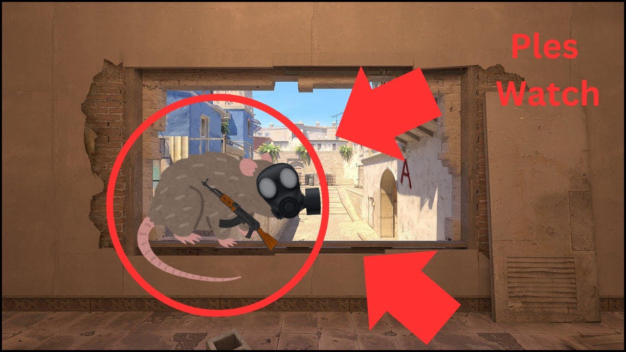 Being a greasy rat in CS2 at 3AM (gone sexual) - YouTube