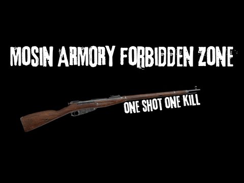 Mosin Builds in Arena Breakout: Budget & Best Options - YouTube