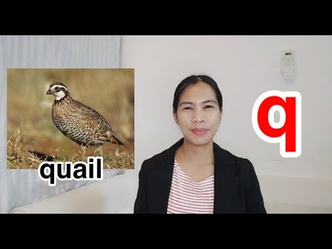 Phonics lesson #25 Consonant Letter Qq Sound #LetterQq #Phonics - YouTube