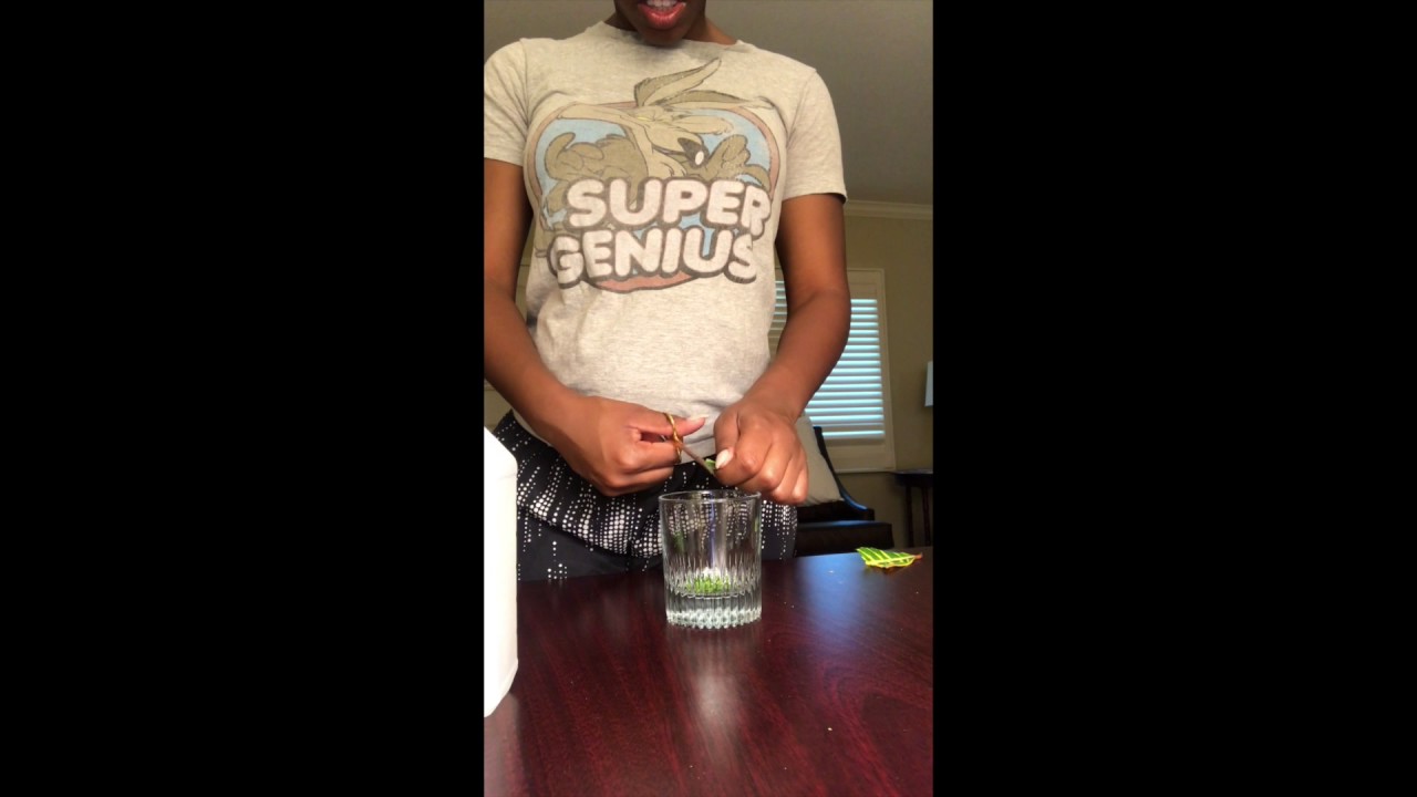 Johnna Young Chromatography HORT3440E - YouTube