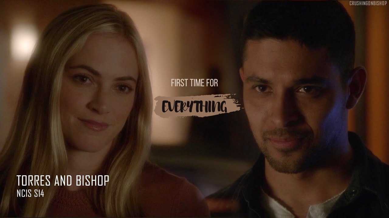 Ellie & Nick in NCIS Season 14 | The Start of Ellick - YouTube
