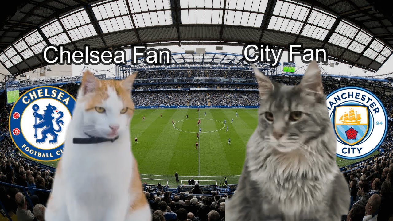 Chelsea vs Manchester City CAT MEMES - YouTube