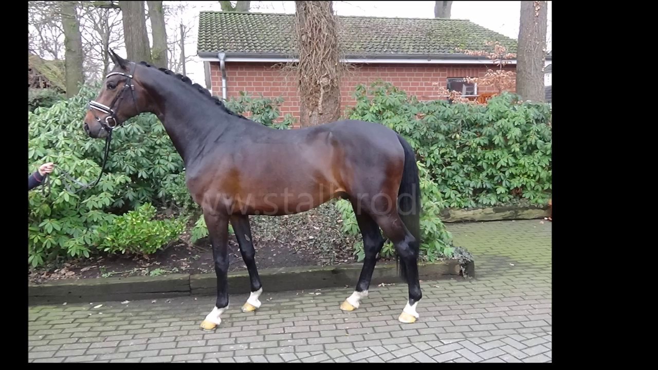 www.stall-rode.de - YouTube