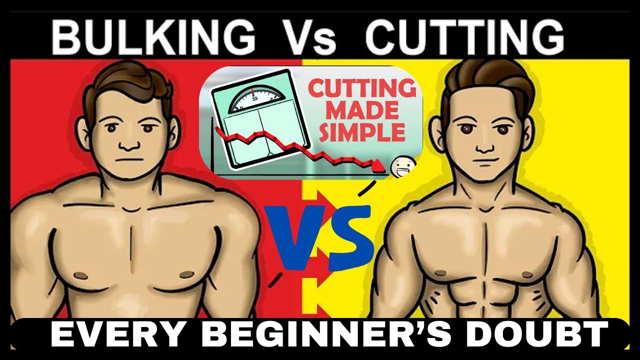 TRUTH BEHIND: Bulking vs. Cutting for Beginners. best |supplements| for ...