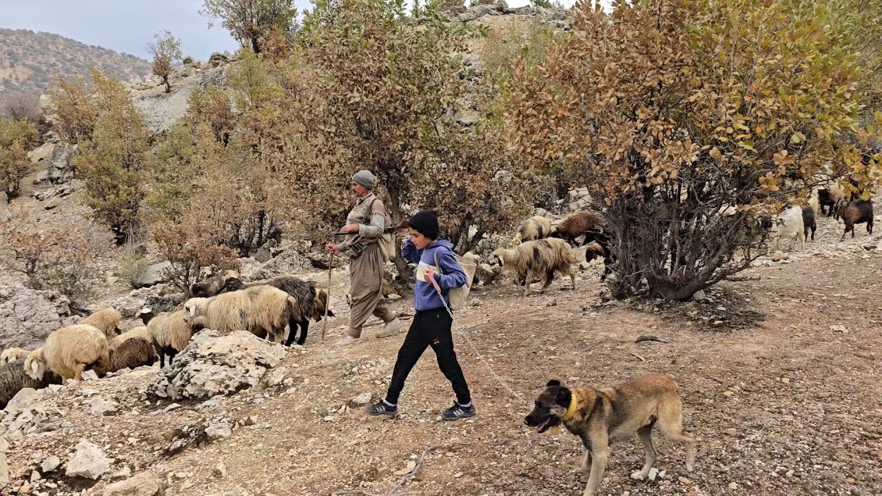 Nomadic life: Migration of nomads from cold to warmer climates: See the ...