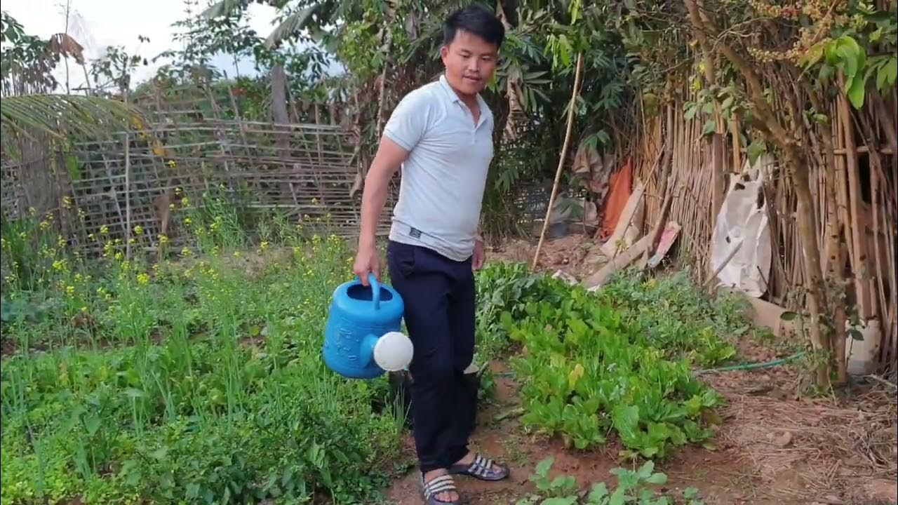 kuv tus hlub wb ywg zaub - YouTube