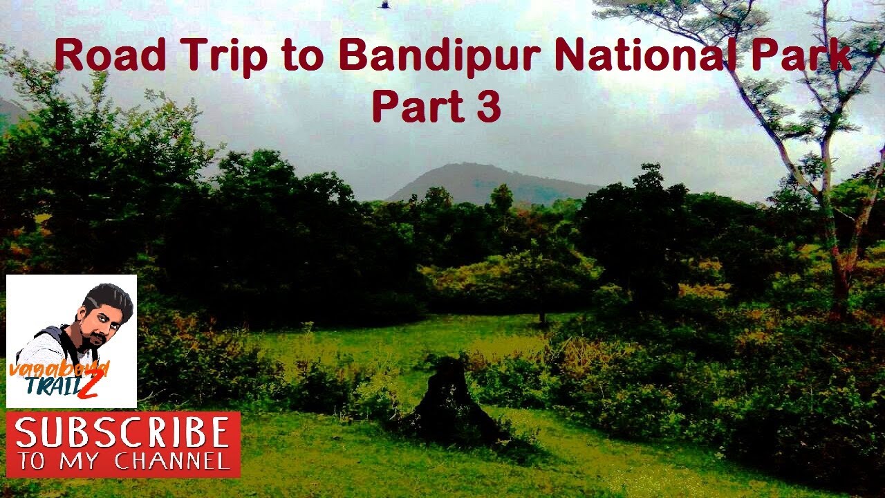 Bandipur National Park | Karnataka | Part 3 - YouTube