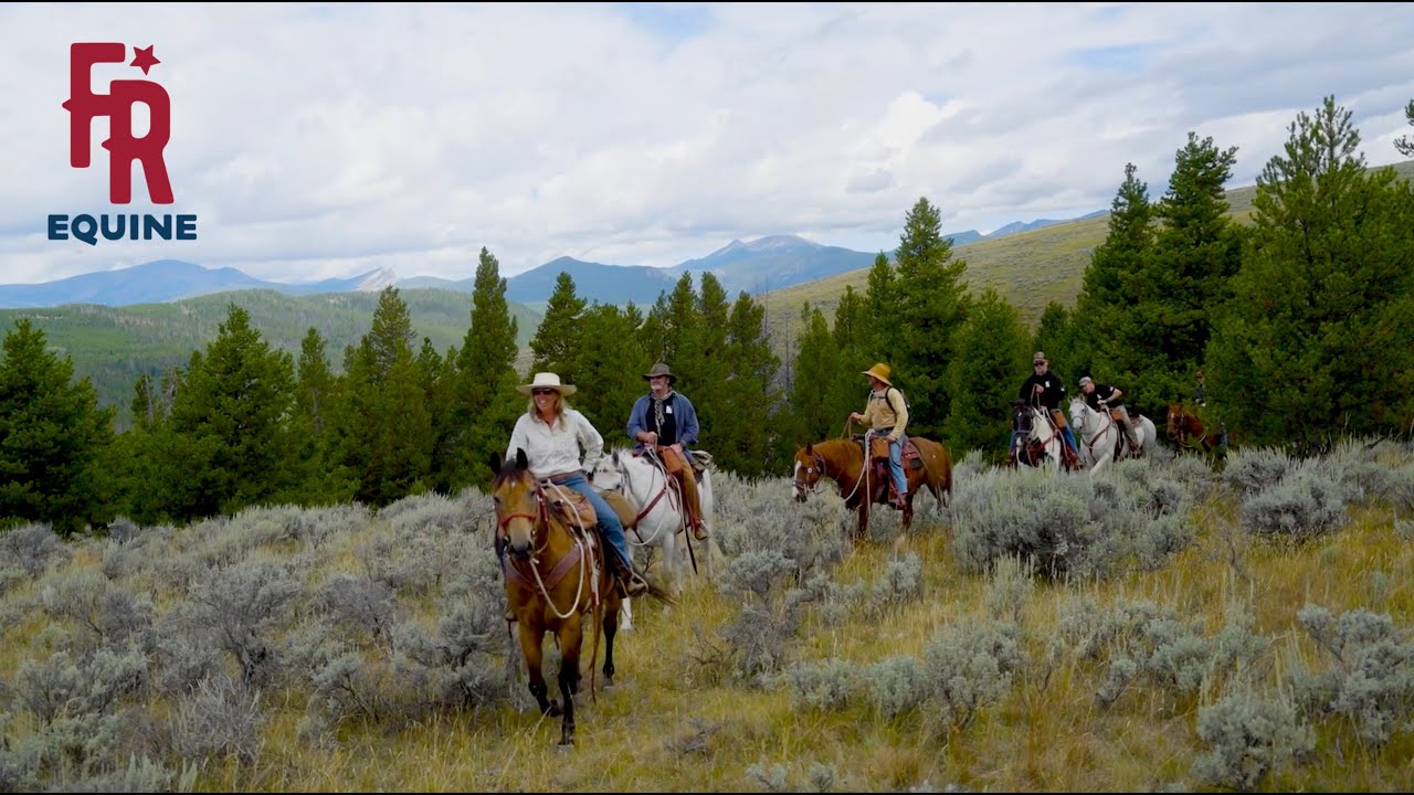 Freedom Ranch For Heroes Equine Program, Summer 2023 (1080p) - YouTube