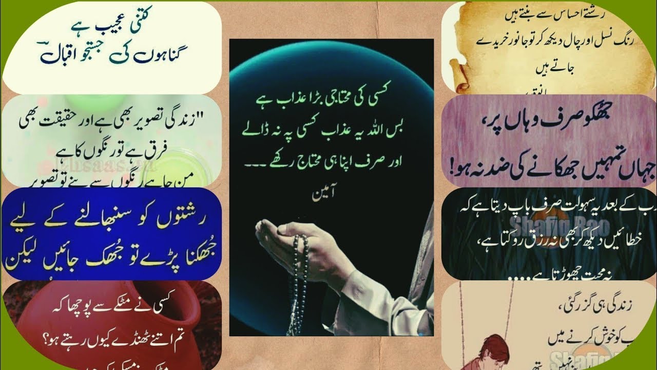 Urdu quotes😂😭😂😭😂😭 |aqwal e zareen new|gehri baten |deeni baatein|best ...