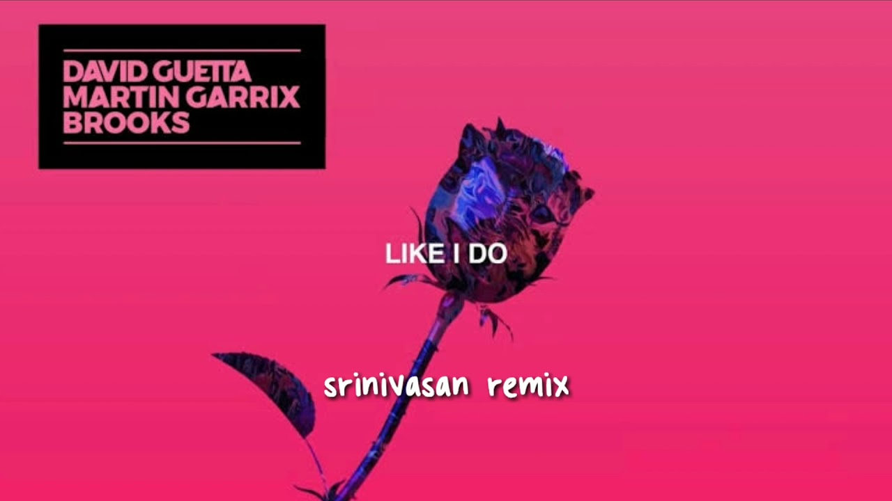 David Guetta, Martin Garrix and Brooks - Like I Do (Srinivasan Remix ...