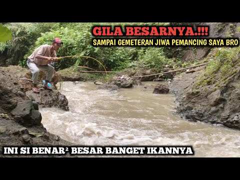YA AMPUN! DI KIRA IKAN SIDAT MONSTER || MANCING SEHABIS HUJAN ANGIN KENCANG STRIKE IKAN BESAR ...