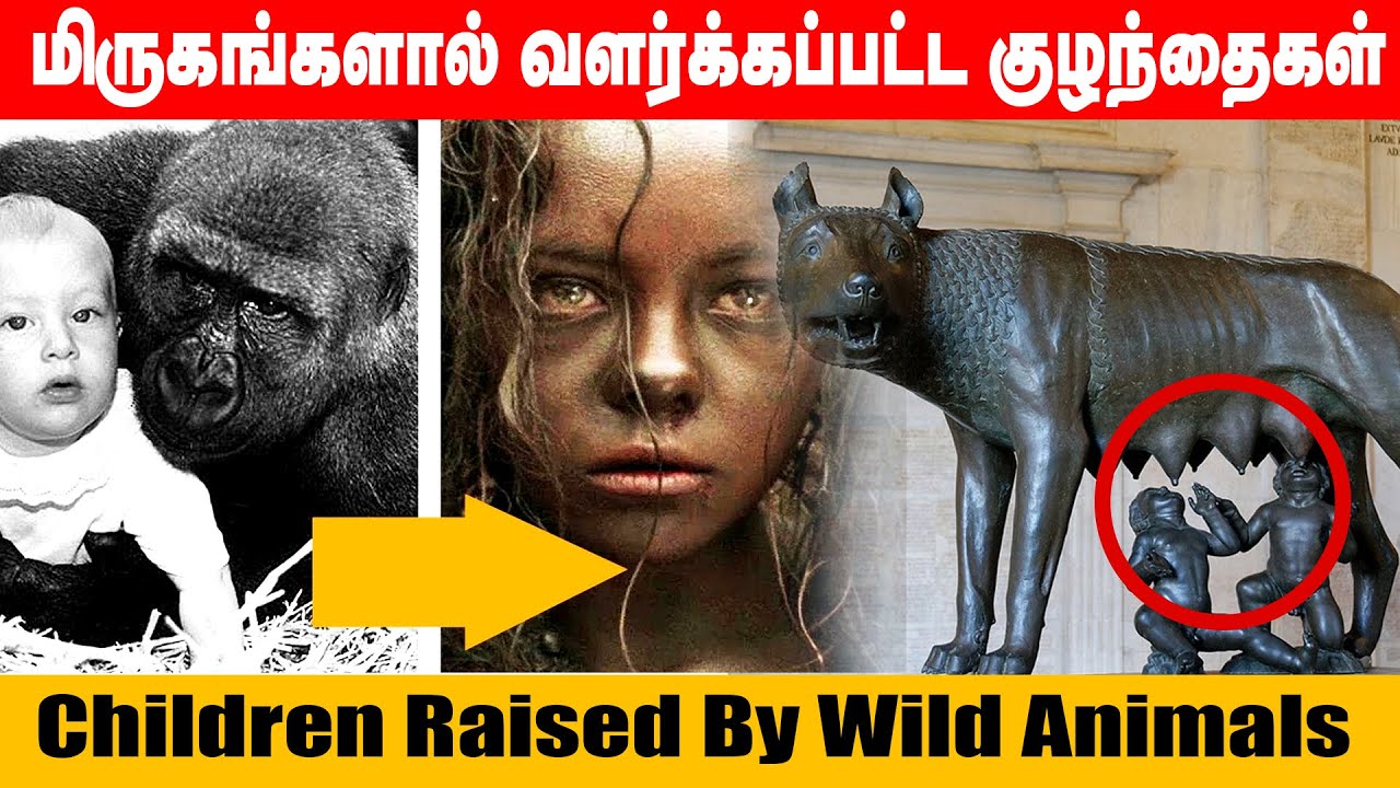 மிருகங்களால் வளர்க்கப்பட்ட குழந்தைகள் | Children Raised By Wild Animals ...
