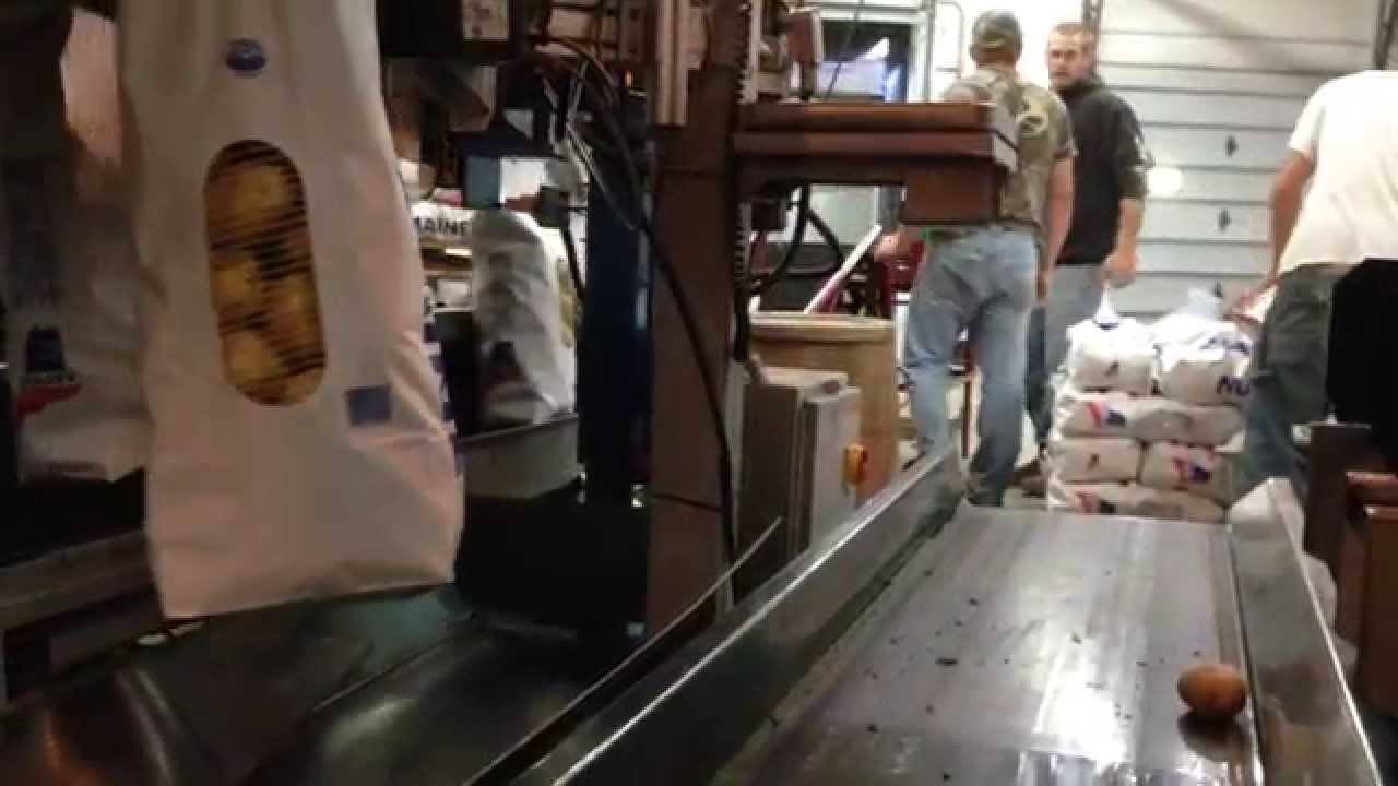 Packing Maine Round White Potatoes - YouTube
