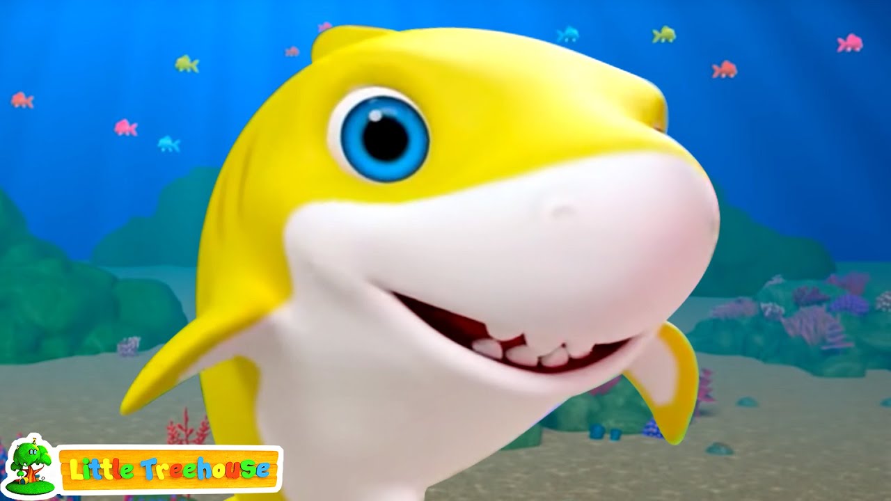 Baby Shark Song, Sea Animal and Kindergarten Song for Kids - YouTube