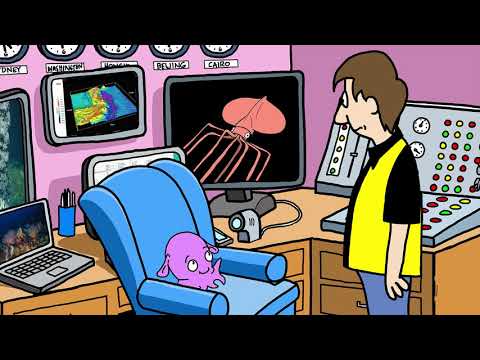 Lesson: Human Dependence on the Ocean 8.11C - Free Educational Games ...