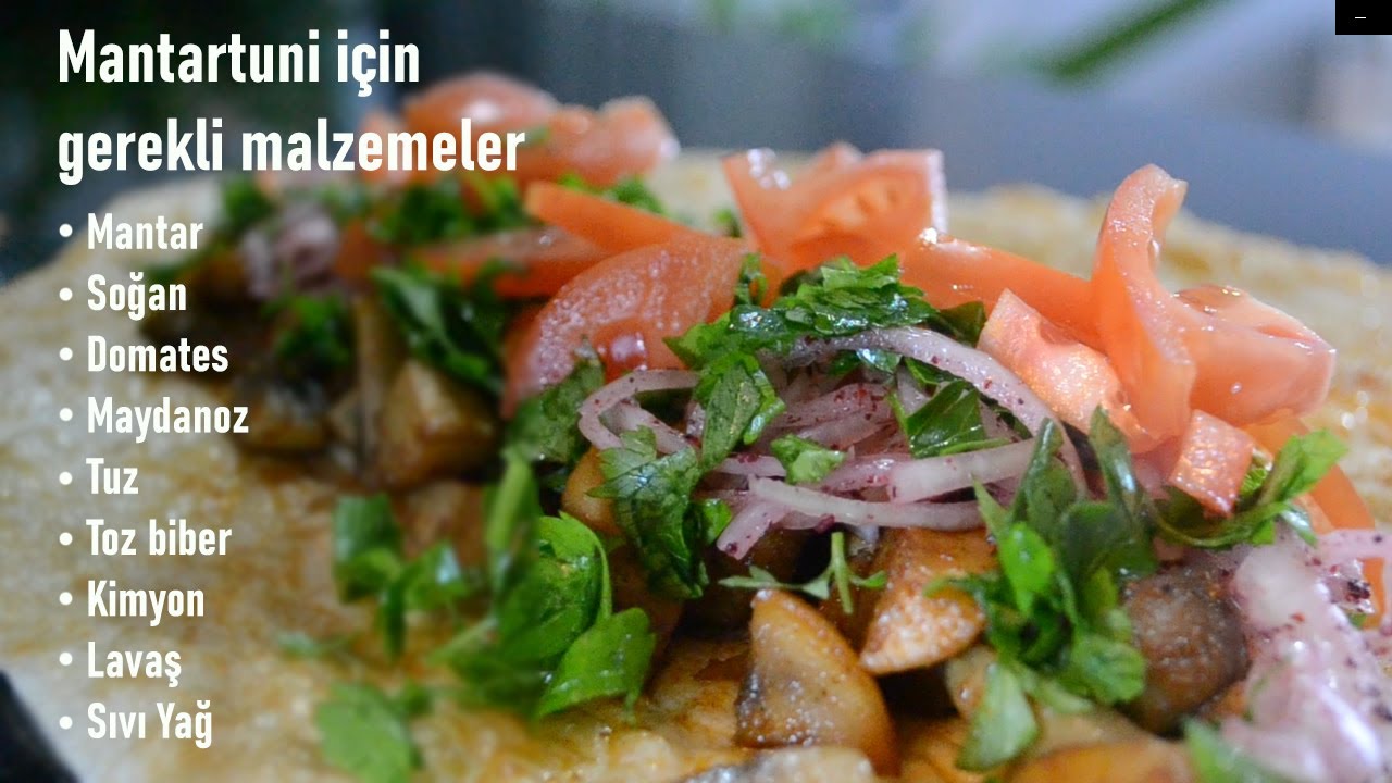 MANTARTUNİ (MANTAR TANTUNİ) - YouTube