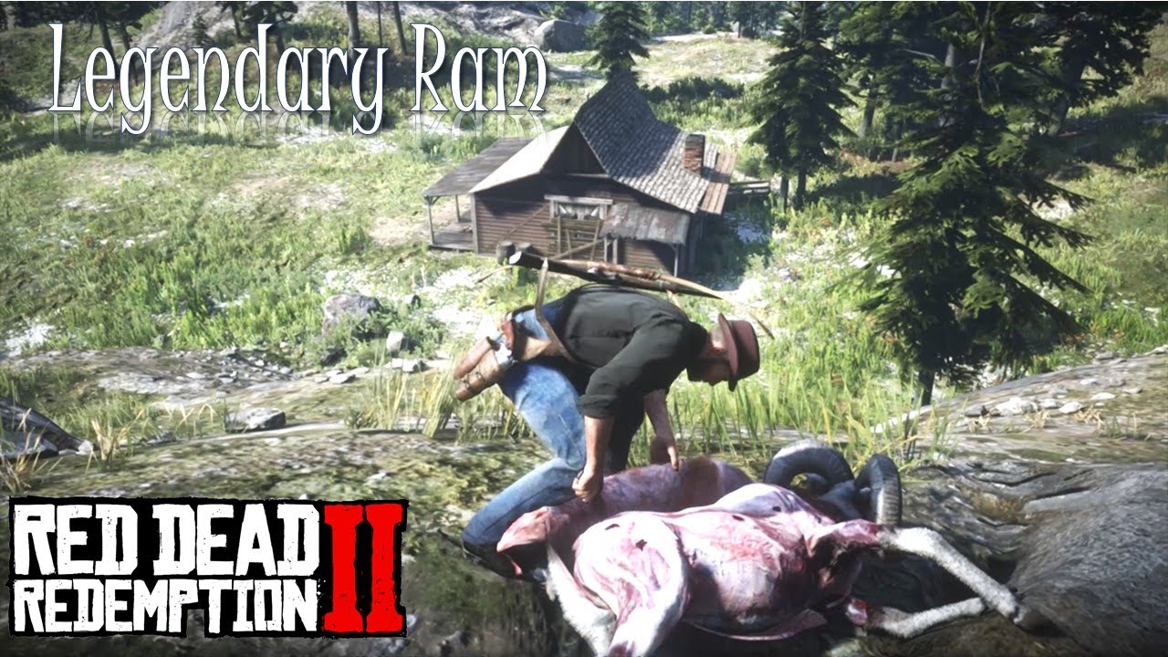 Legendary Ram - Red Dead Redemption 2 |RDR 2| |Arthur Morgan| - YouTube