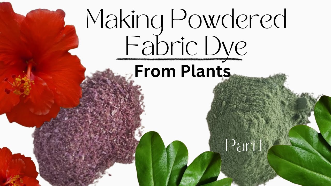 Processing Plants Into Powdered Fabric Dye - YouTube