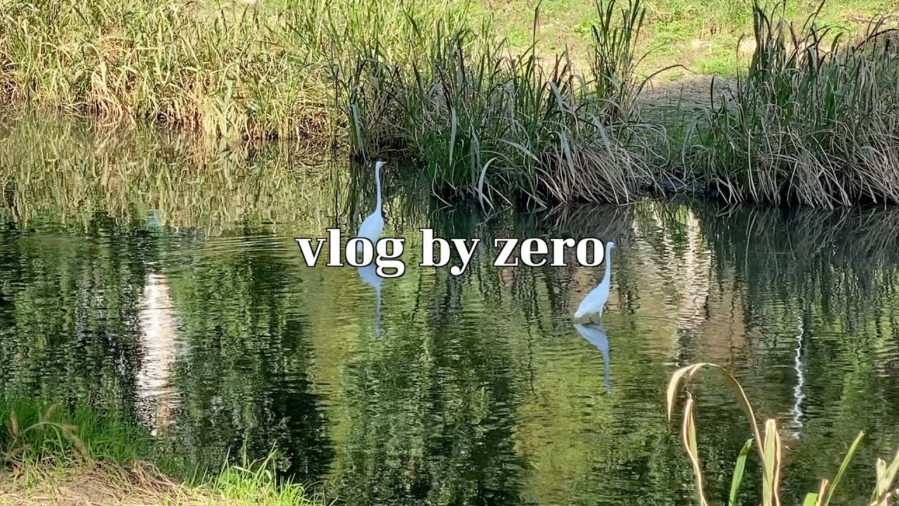 Vlog 일상 브이로그 여름감성 한스푼 맨날 취해서 취준생인가 술만 먹는 취준생 답지않은 백수 속마음 취중