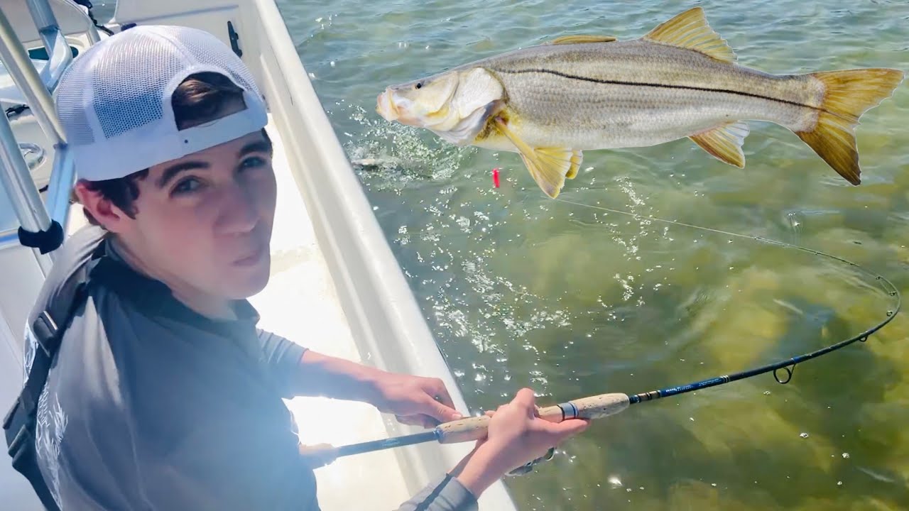 SLAYING the SNOOK in Anna Maria Island Florida! - YouTube