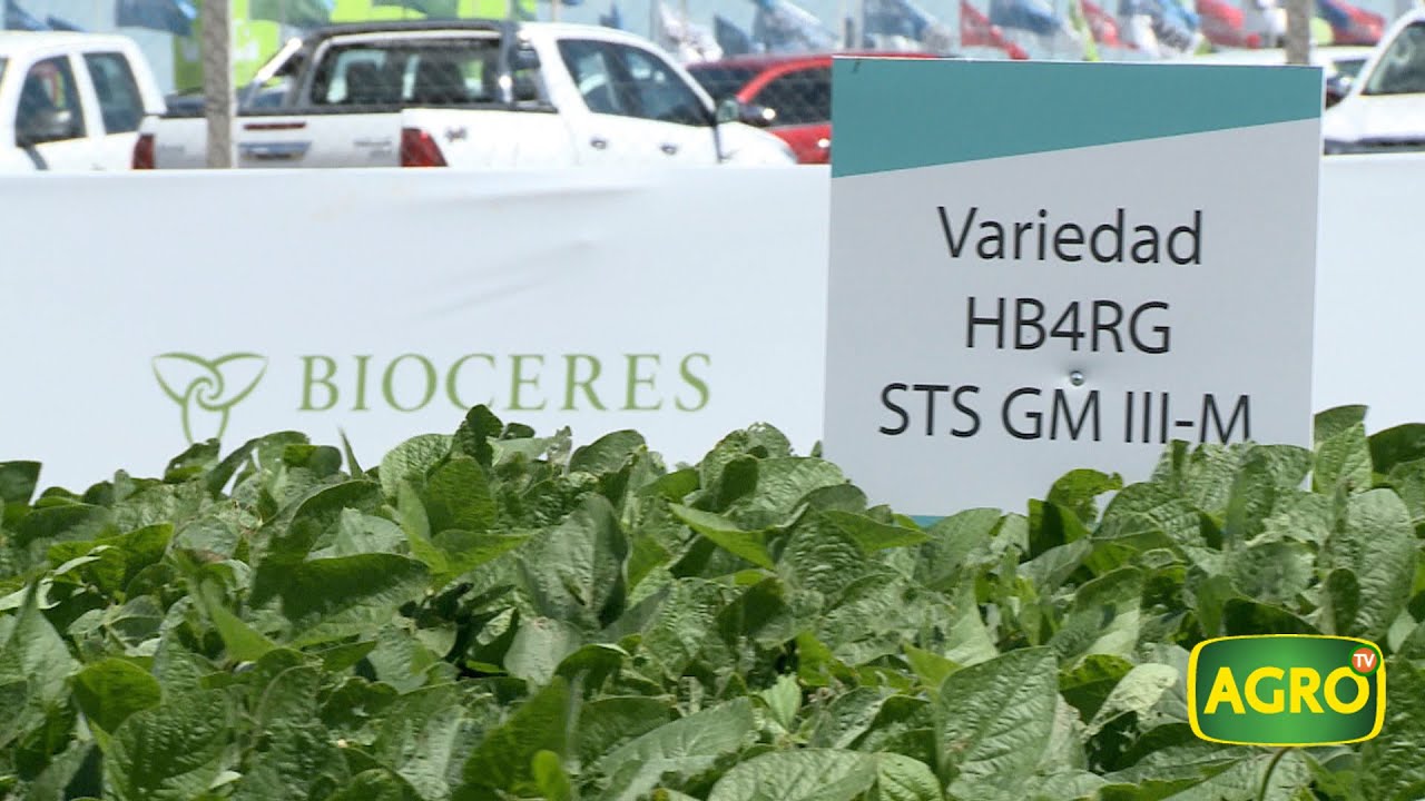 Bioceres: Presentó la soja HB4 tolerante a sequía (#817 2019-03-30 ...