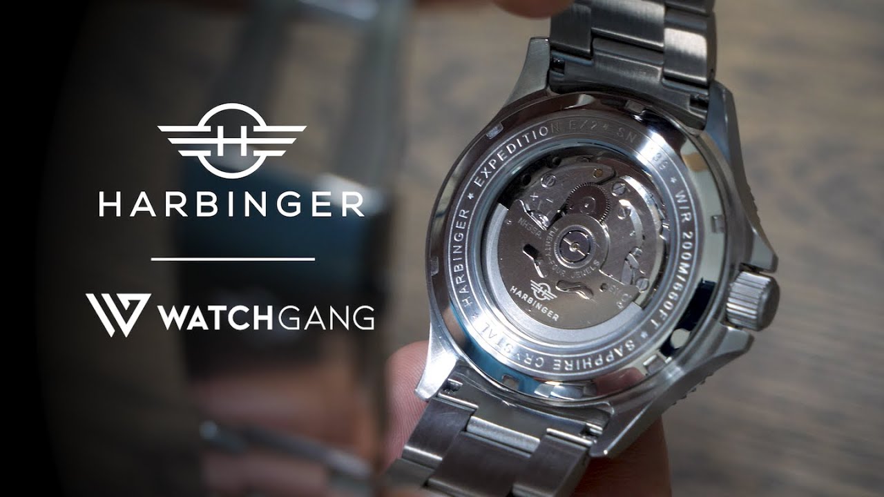 Harbinger Expedition | Watch Gang Watch Highlight - YouTube