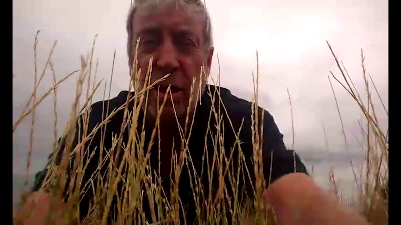 Using a Stripper Header for Harvesting - YouTube