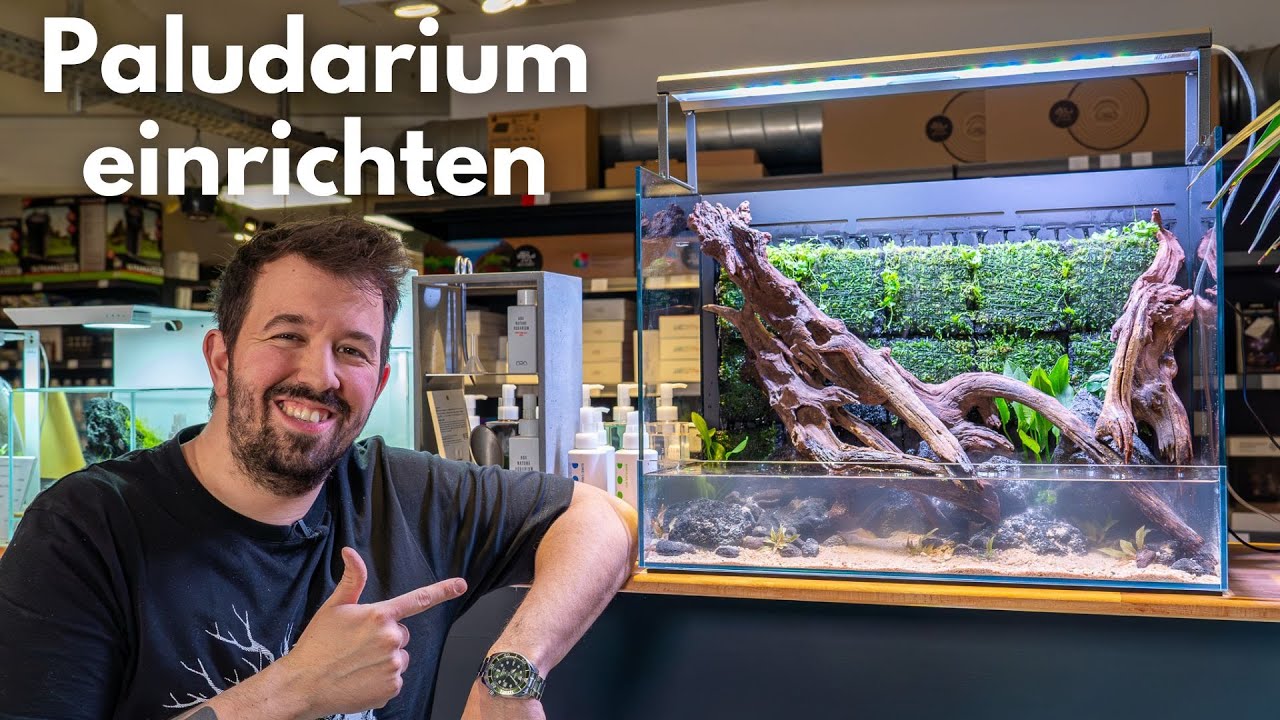 UNS Foresta 60E Paludarium einrichten! - YouTube