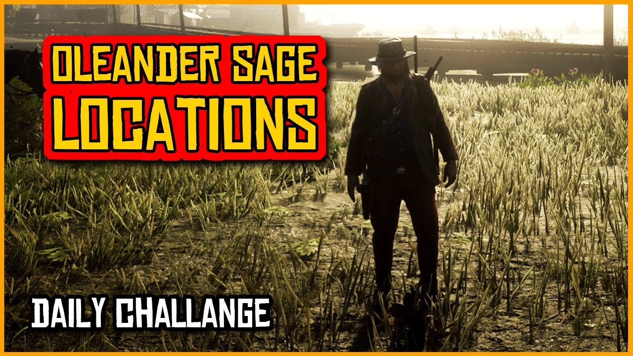 Oleander Sage Locations Daily Challange | Red Dead Online - YouTube