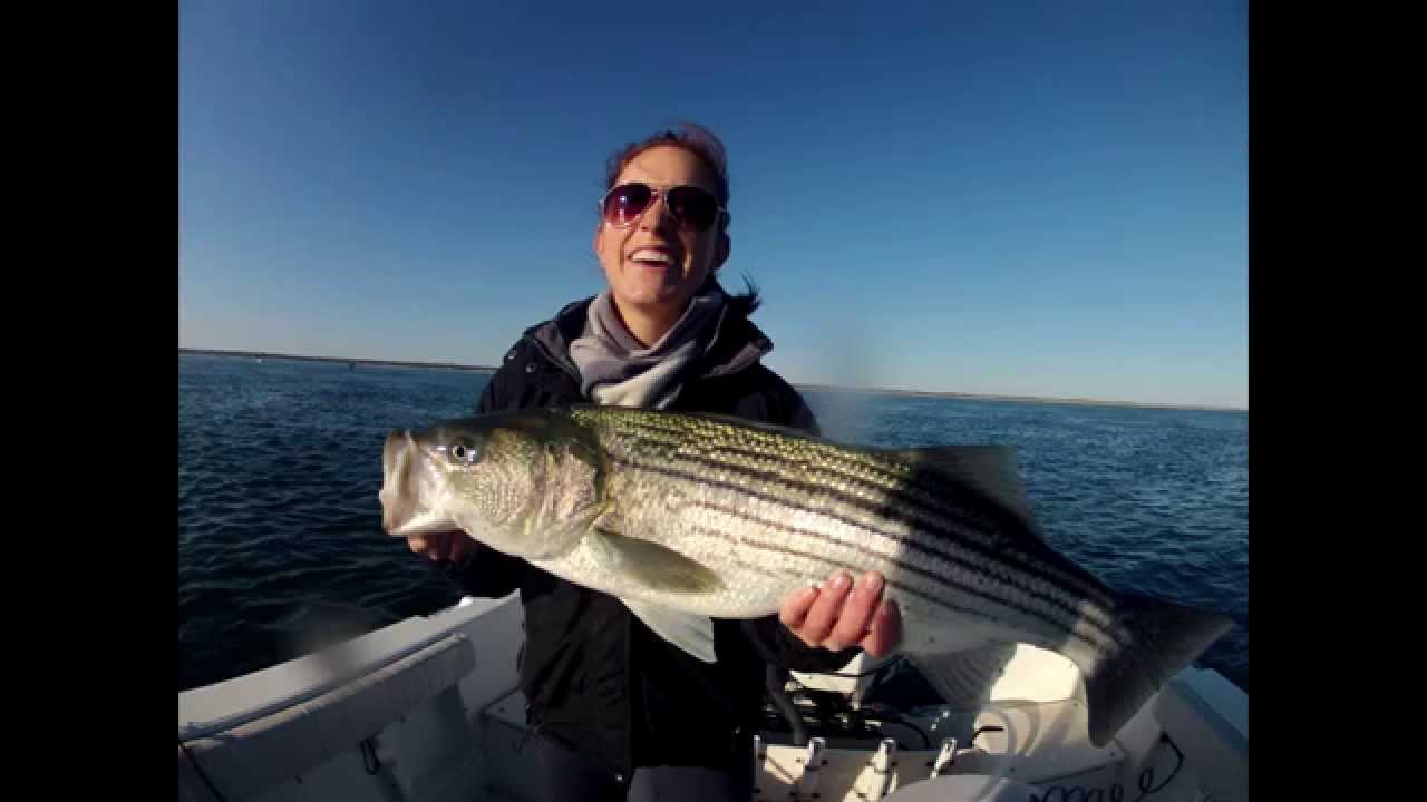 3 Cape Cod Fishing Trips for Springtime in your Boat - YouTube