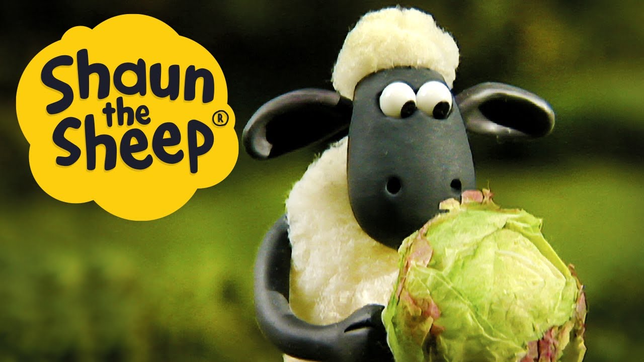 Off the Baa | Shaun the Sheep | S1 Full Episodes - YouTube