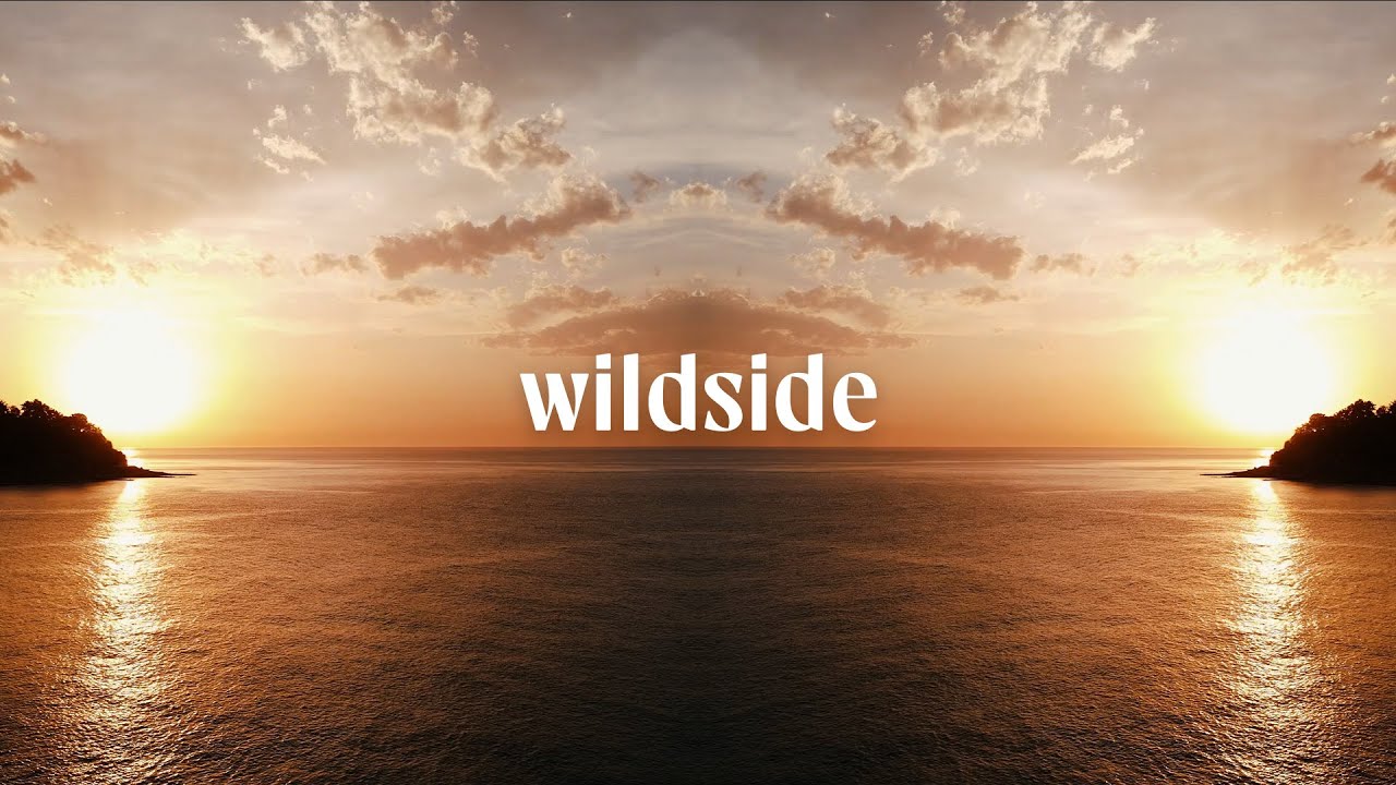 MEYSTA - Wildside (Extended Mix) - YouTube