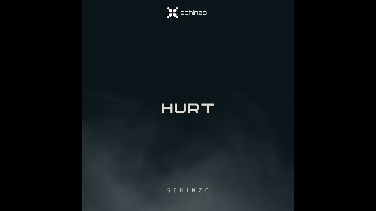 schinzo - Hurt (edm 2024) - YouTube