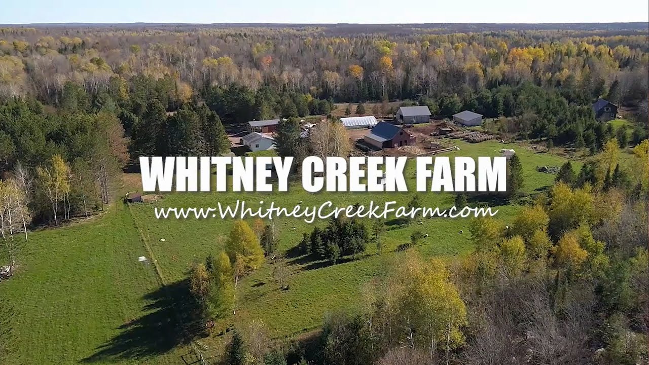 Whitney Creek Farm - Erwin Township, MI - YouTube