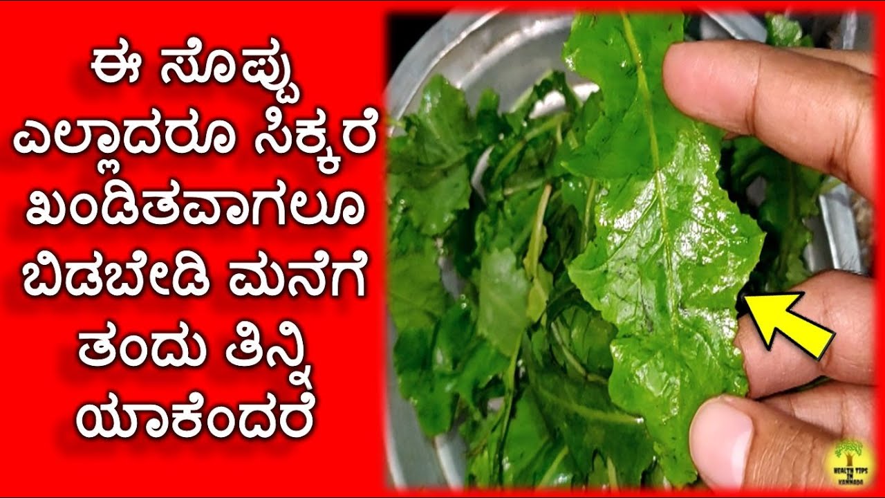 ಈ ಸೊಪ್ಪು ತಿಂದ್ರೆ ಏನೆಲ್ಲಾ ಆಗತ್ತೆ ಗೊತ್ತಾ? ಹಕ್ಕರಿಕೆ ಪಲ್ಯ ಉಪಯೋಗ | hakkarike ...