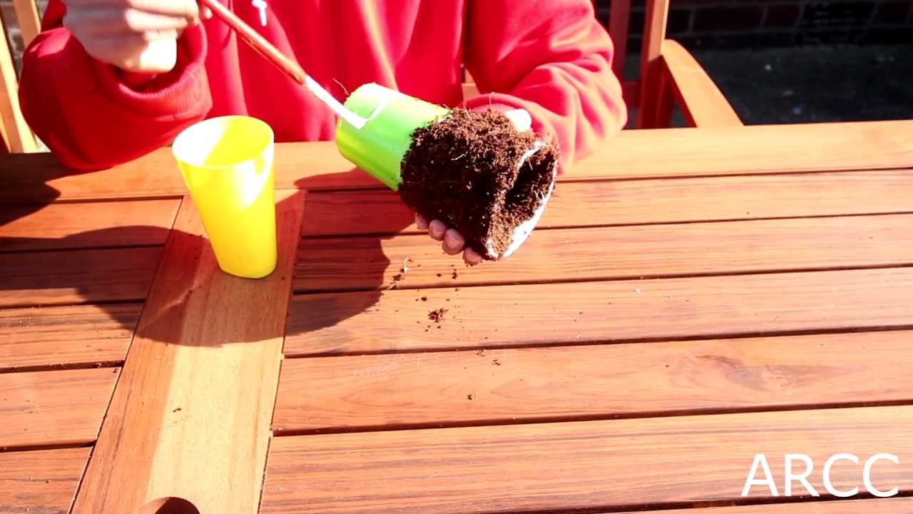 How to make a Arboreal Tarantula Hide - YouTube