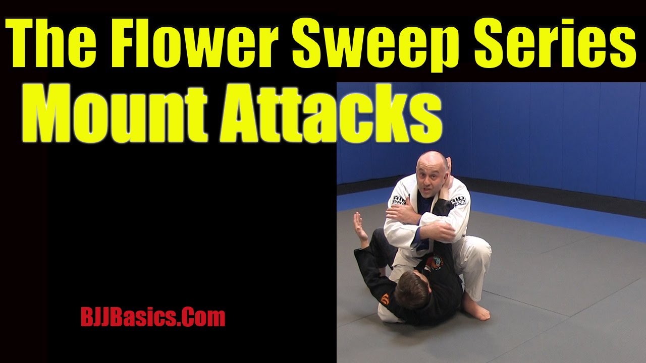 Flower Sweep to Four Quick Submissions - YouTube