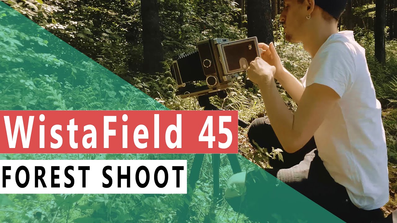 Large Format Forest Shoot [With The Wista Field 4x5 Camera] - YouTube