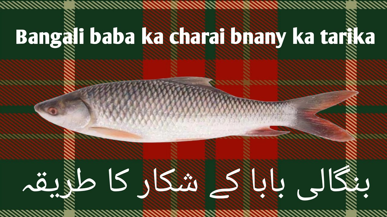 Bangali charai bnany ka tarika|Bangali fishing techniques - YouTube