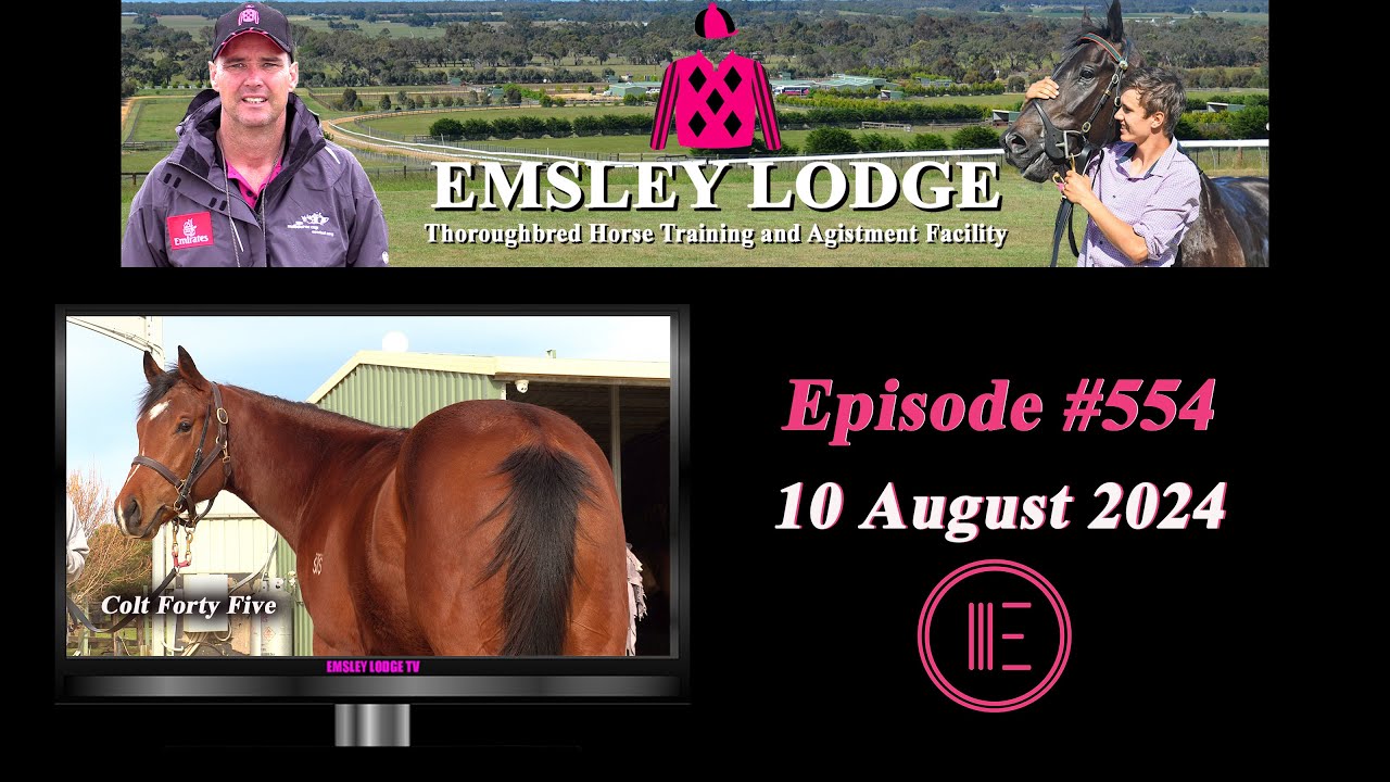 Aug 10 2024 - Emsley Lodge Report - YouTube