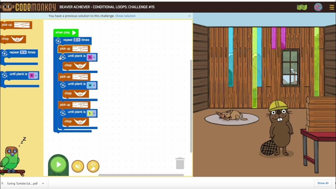 Beaver Achiever Conditional Loops 15 - YouTube